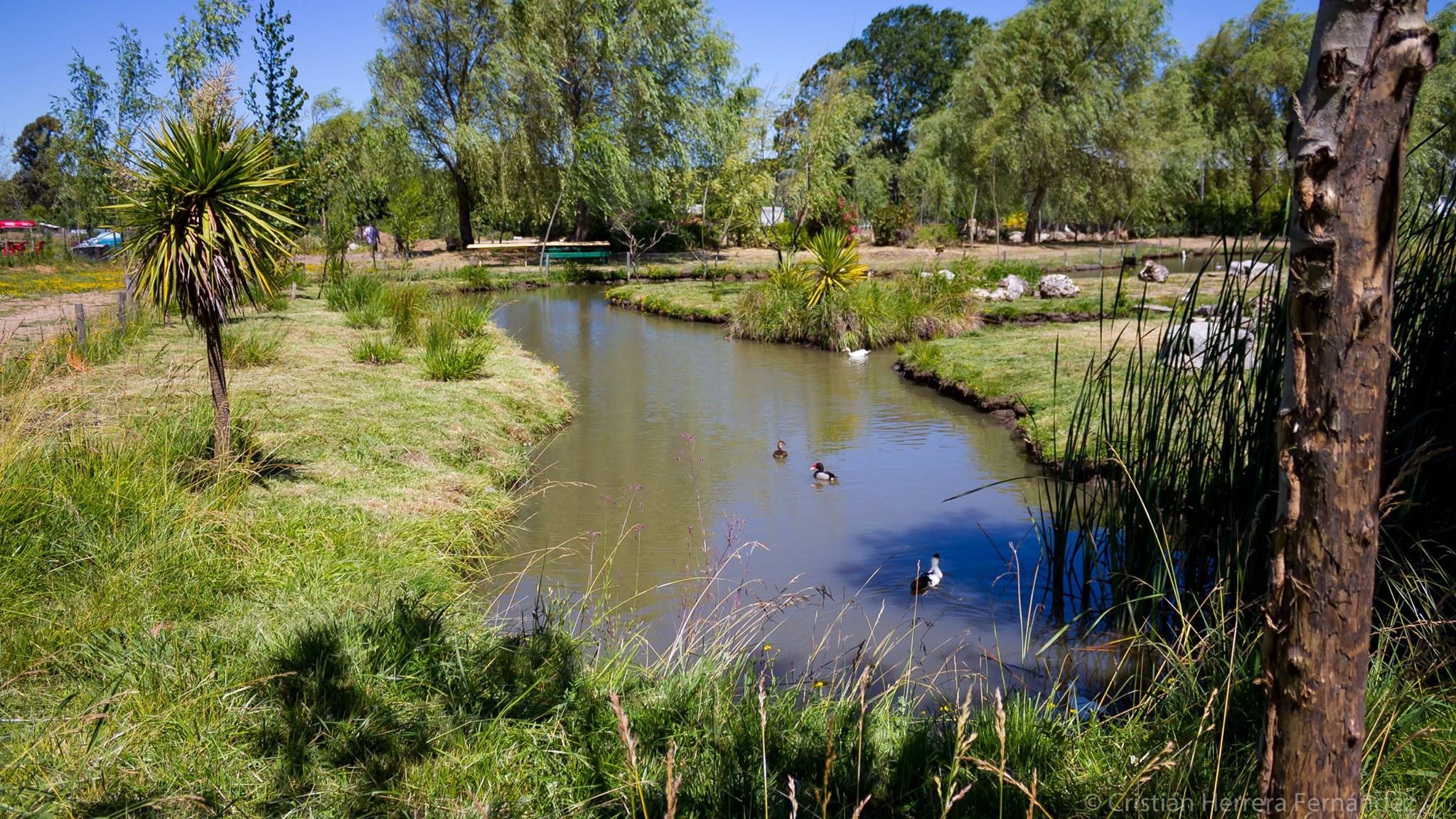Bioparque Quillón - 📍 GuíaÑuble